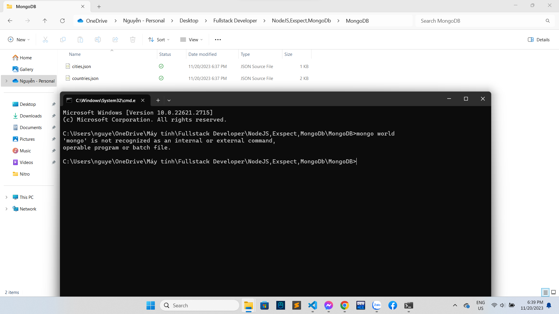 Lập Trình Web Với Nodejs Express Mongodb